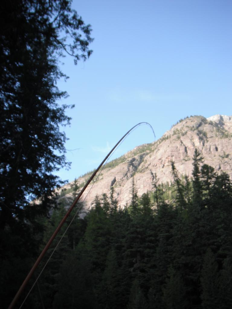 Ultralight Fly Fishing • James Green Fly Rods 2 weight Native Trout Series