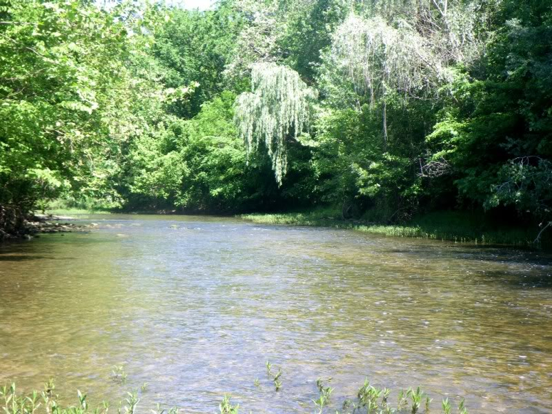 Ultralight Fly Fishing • Ohio UL Conclave on the Little Darby