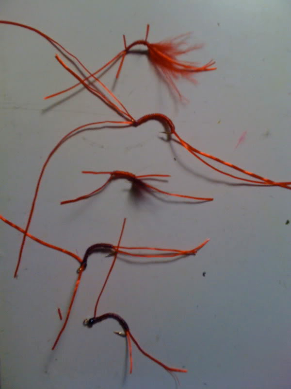 Ultralight Fly Fishing • apps bloodworm